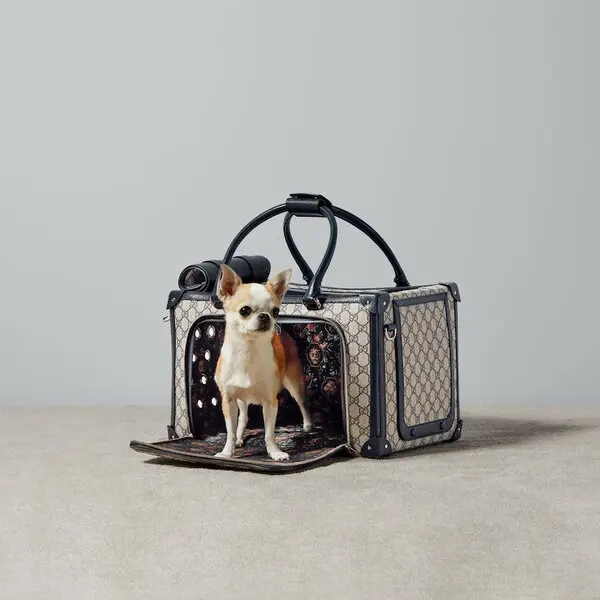 Gucci Small Gg Pet Carrier With Web - Blue | Editorialist