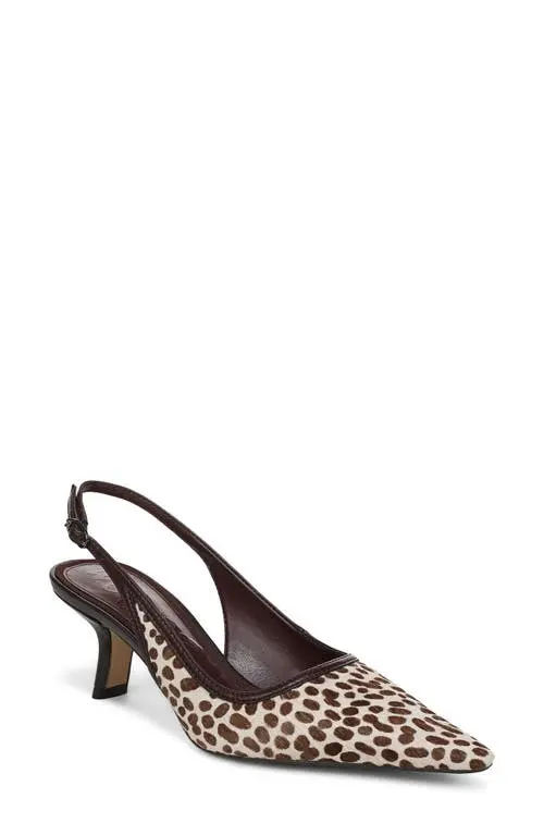 Sam Edelman Bianka Slingback Mesh Pointed Toe Pump - Chocolate Multi