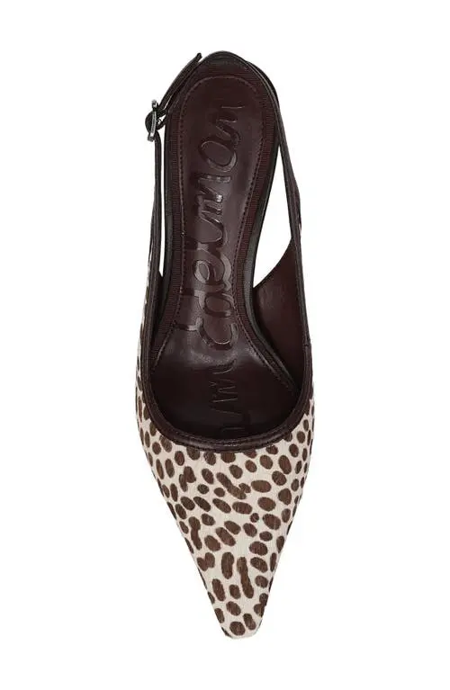 Sam Edelman Bianka Slingback Mesh Pointed Toe Pump - Chocolate Multi