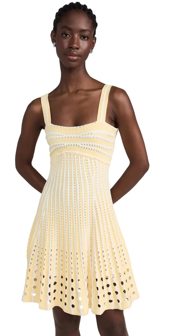 knee length dresses for ladies Simkhai Laila Mini Dress in Chantilly