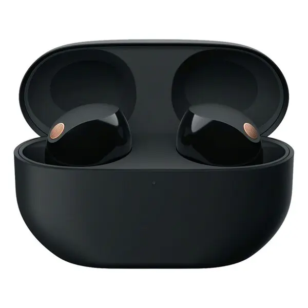 SONY Truly Wireless Noise Canceling Earbuds - Black