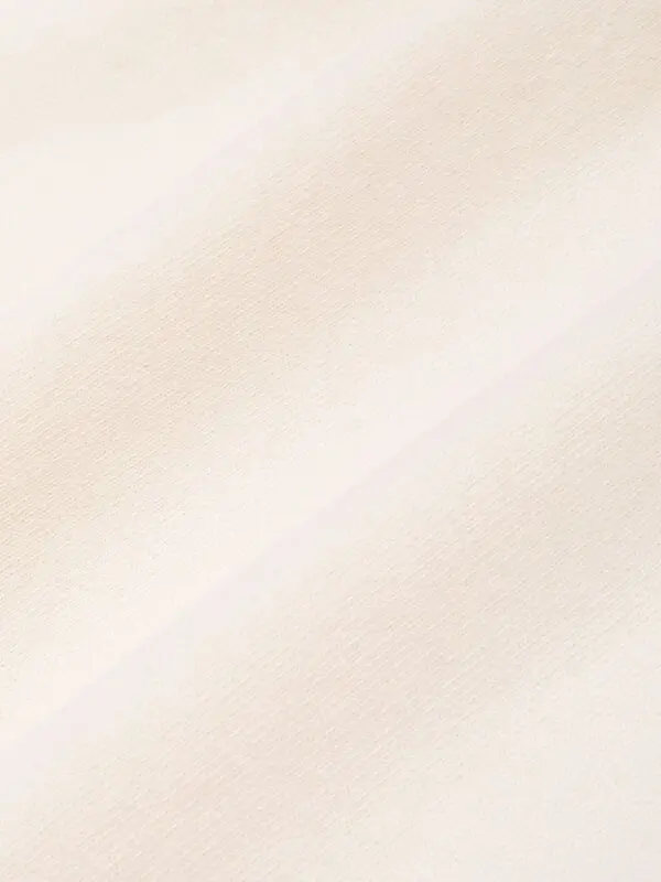SPORTY & RICH Connecticut Crest Cotton Sweatshirt - Neutrals