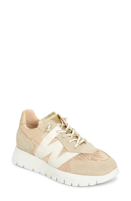 WONDERS Oslo Sneaker - Trend Beige Platino