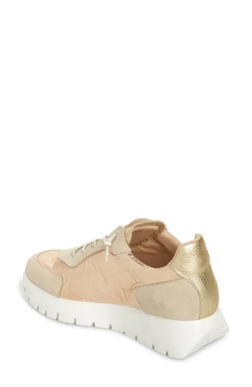 WONDERS Oslo Sneaker - Trend Beige Platino