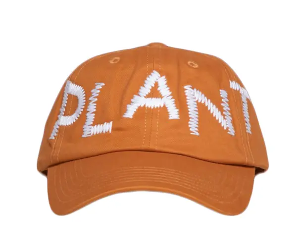 Cactus Plant Flea Market Plant Stitch Cap - Orange | Editorialist