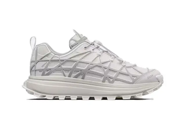 Dior B31 Runnerin - White/grey