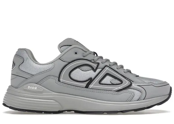 Dior B30in Sneakers - Gray