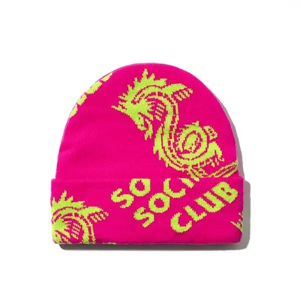 ANTI SOCIAL SOCIAL CLUB Garden Grove Knit Cap - Pink