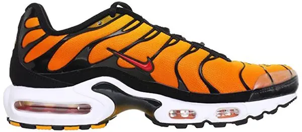 Nike Max Plus Sneakers