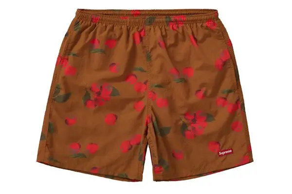Supreme Nylon Water Short - Brown Cherry