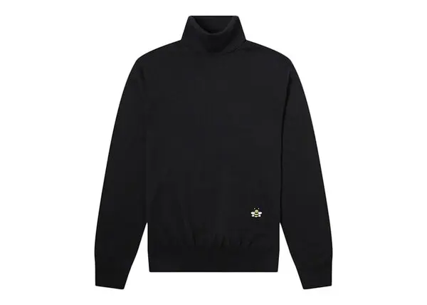 Dior X Kaws Bee Logo Turtleneck Knit Sweater