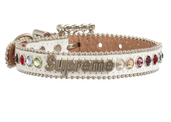 Supreme B.b. Simon Studded Dog Collar - White