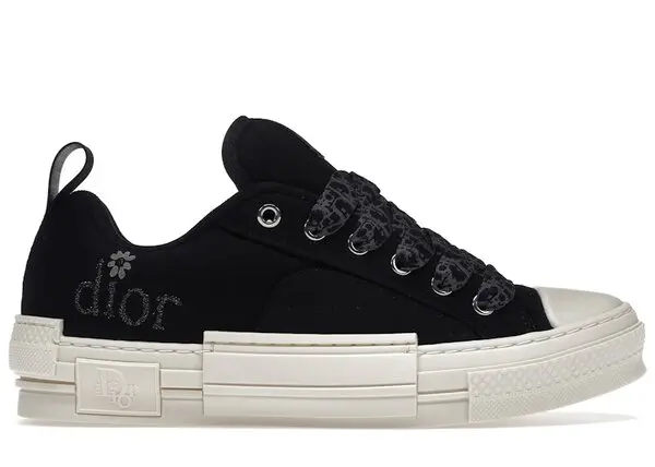 Dior B23 Skater Low-top Sneakers - Black/white