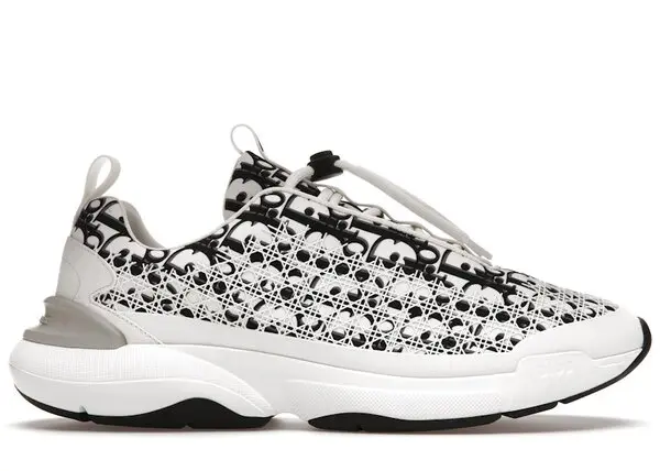 Dior B24 Oblique Cannage Sneakers