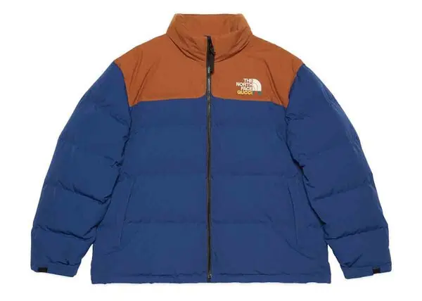 Gucci X The North Face Down Jacket - Blue/brown