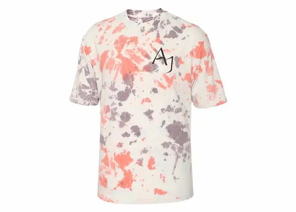 Nike Jordan Sport Dna '85 Slam Dunk Tee Shirt
