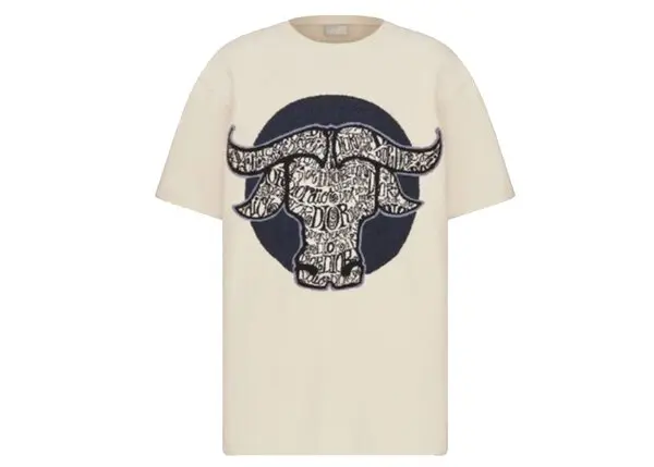 Dior And Shawn Oversized T-shirt - White