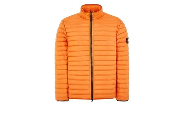 Stone Island 41524 Packable Loom Woven Chambers Rnylon Downtc Jacket