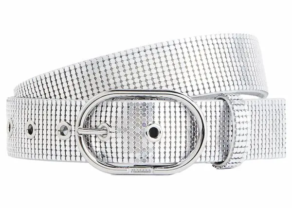 Loewe Belt With - Silver