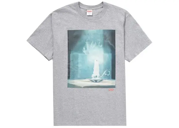 Supreme Fuck Tee Shirt - Heather Grey