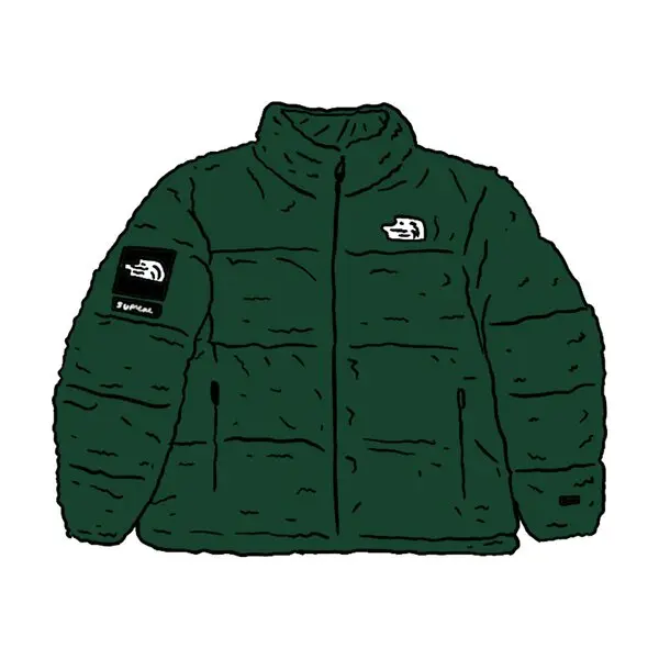Supreme The North Face Faux Fur Nuptse Jacket - Green | Editorialist