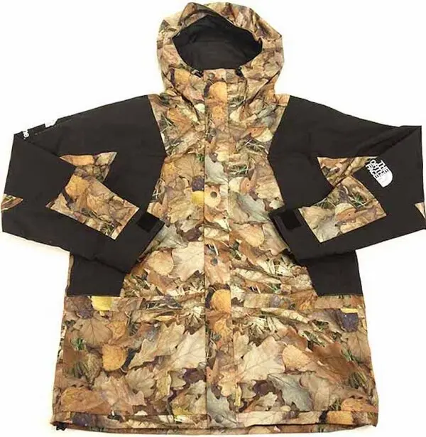 Supreme The North Face Mountain Light Jacket - Leaves