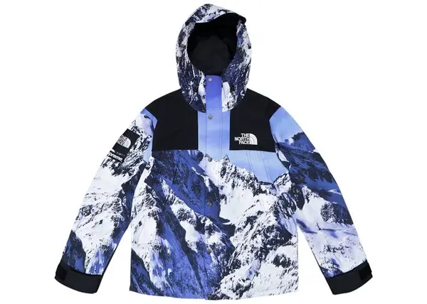 Supreme The North Face Mountain Parka Jacket