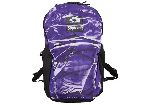Supreme The North Face Printed Borealis Trompe L'oeil Backpack - Purple