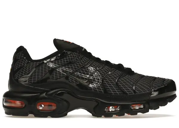Nike Air Max Plus 3d Swoosh Sneakers