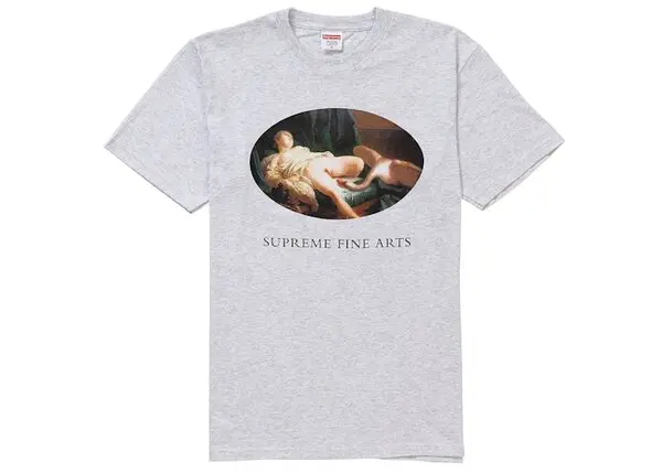 Supreme Leda And The Swan Tee Shirt - Ash Grey