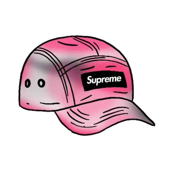 Supreme Washed Satin Camo Camp Cap - Pink Camo