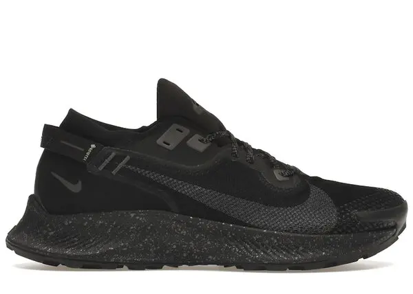 Nike Pegasus Trail 2 Gore-tex Sneakers - Black