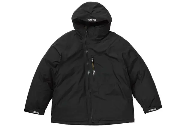 Supreme Gore-tex 700-fill Down Parka