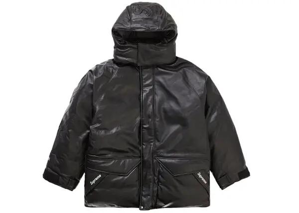 Supreme Gore-tex Leather 700-fill Down Parka