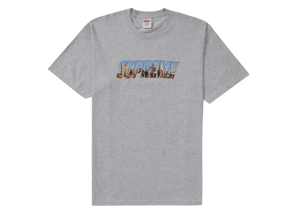 Supreme Gotham Tee Shirt - Ash Grey