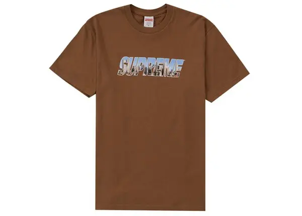 Supreme Gotham Tee Shirt - Light Brown