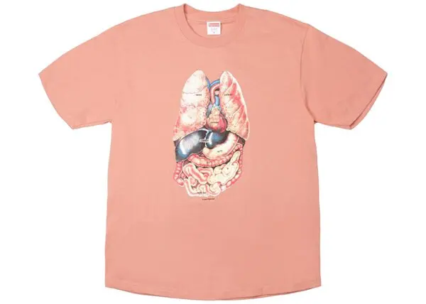 Supreme Guts Tee Shirt - Terra Cotta