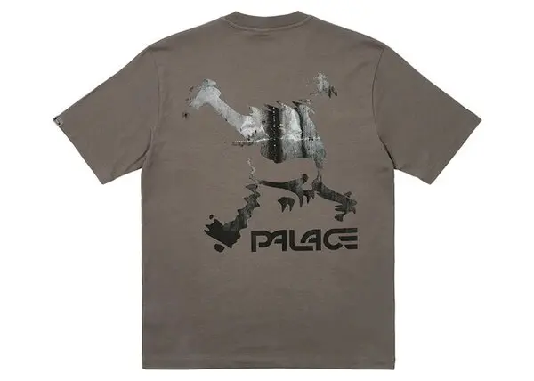 PALACE X Oakley T-shirt - Grey