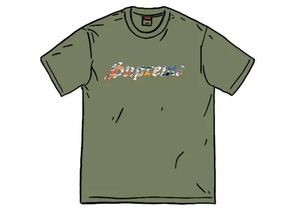 Supreme Floral Appliqu Short Sleeve Top - Olive