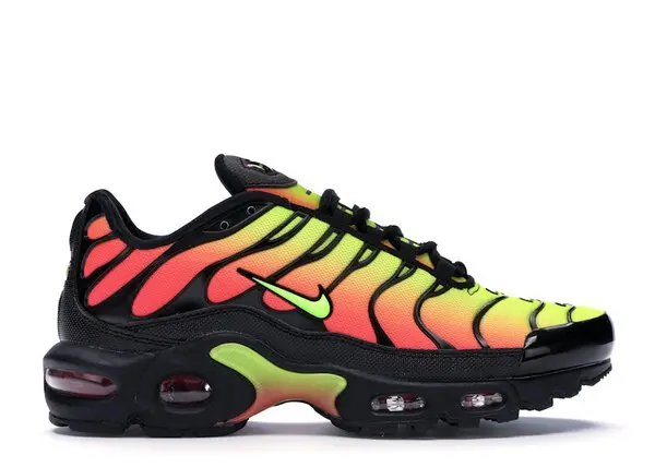 Nike Air Max Plus Sneakers