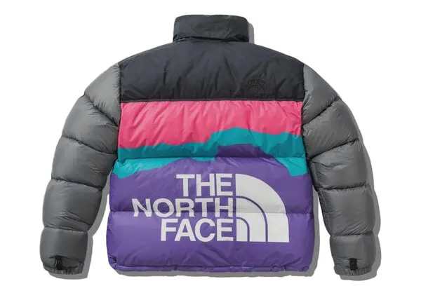The North Face X Invincible 1996 Retro Nuptse Jacket - Multicolor