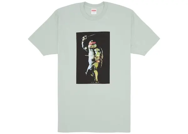 Supreme Raphael Tee Shirt - Pale Aqua