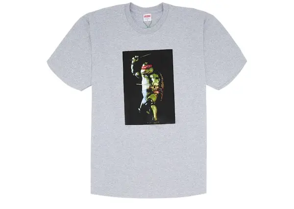 Supreme Raphael Tee Shirt - Heather Grey