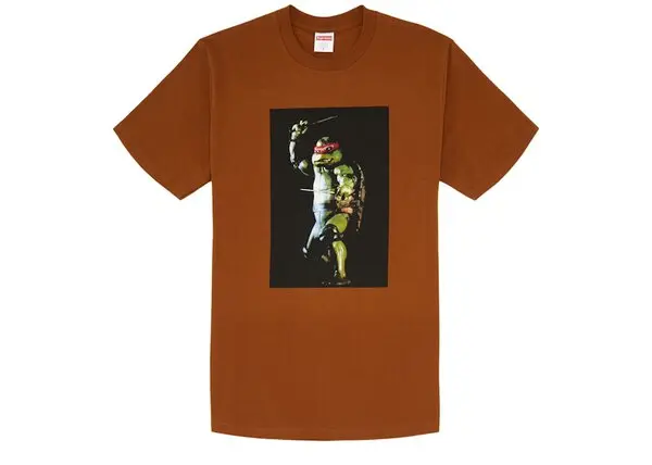 Supreme Raphael Tee Shirt - Brown