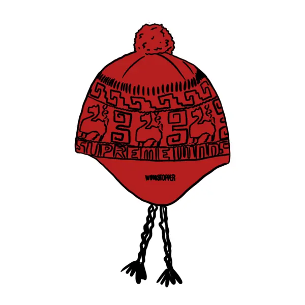 Supreme Chullo Windstopper Earflap Beanie