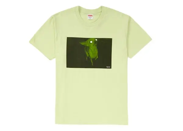 Supreme Chris Cunningham Chihuahua Tee Shirt - Pale Mint