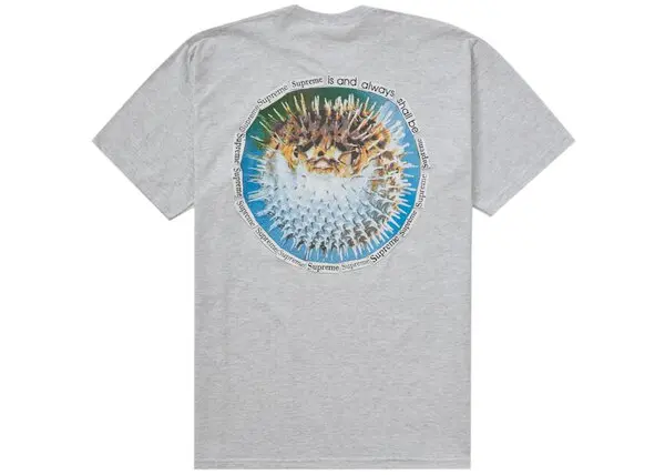 Supreme Blowfish Tee Shirt - Ash Grey