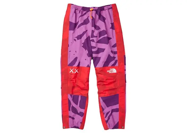 KAWS X The North Face Mountain Light Pants