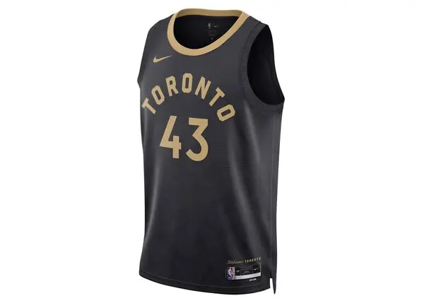 Nike Toronto Raptors Pascal Siakam City Edition Jersey