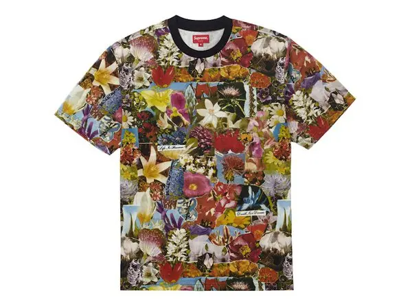 Supreme Dream Short Sleeve Top - Multicolor